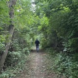 Chestnut Ridge Trail, Virginia - 470 Reviews, Map | AllTrails