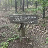 Chestnut Ridge Trail, Virginia - 470 Reviews, Map | AllTrails