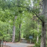 Deep Run Park Trails, Virginia - 1,201 Reviews, Map | AllTrails