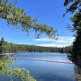 Lyons Dam, California - 550 Reviews, Map | AllTrails