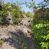 Mount Cammerer via Appalachian Trail, Tennessee - 246 Reviews, Map ...