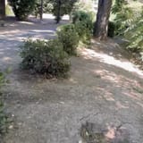 Merced Bike Path, California - 174 Reviews, Map | AllTrails