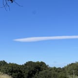 Redtail Loop to Arastradero Creek Loop, California - 1,738 Reviews, Map ...