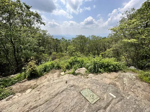 Beste wandelingen en routes in Blue Ridge Wildlife Management Area ...