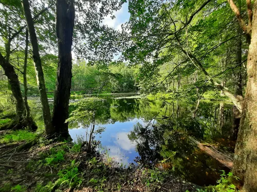 Best Hikes and Trails in Kalabus - Perry County Forest | AllTrails