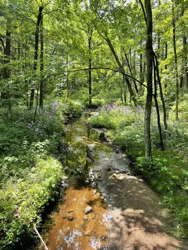 Best Hikes and Trails in Gaska Park | AllTrails