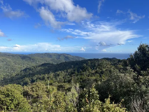 10 Best Trails and Hikes in Piha | AllTrails