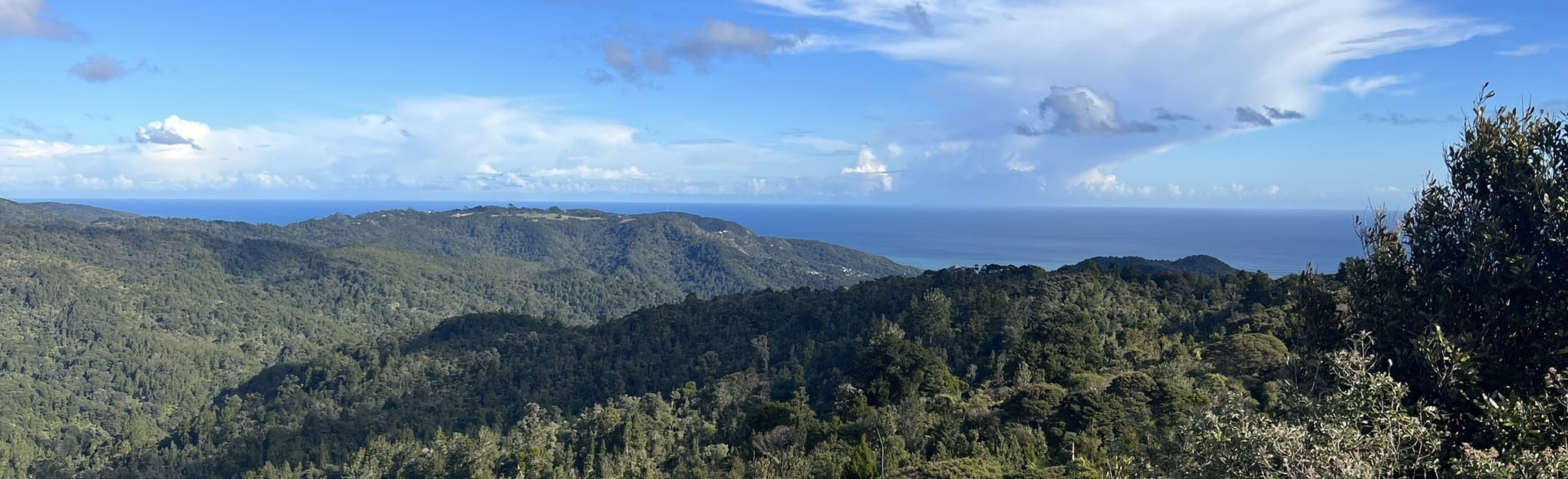 Mc Elwain Lookout, Quarry, Forbes, and Centennial Tracks Loop, Auckland ...