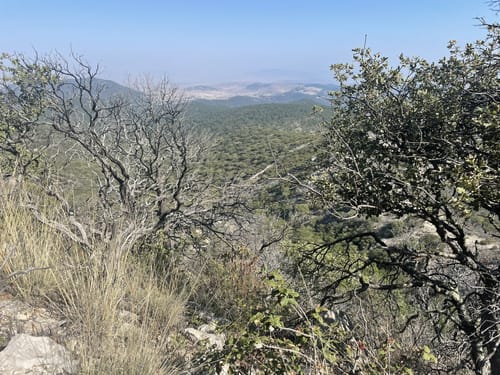 2023 Best Views Trails in Parque Nacional Gogorrón | AllTrails