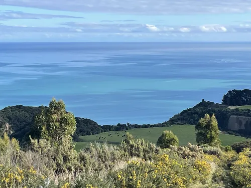 2023 Best Wild Flowers Trails in Featherston | AllTrails