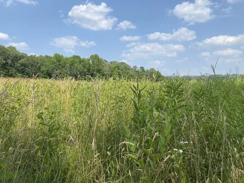 Best Hikes and Trails in Shallow Ford Natural Area | AllTrails