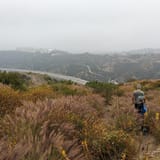 Getty View Trail, California - 794 Reviews, Map | AllTrails