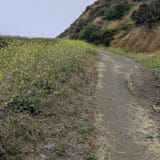 Getty View Trail, California - 794 Reviews, Map | AllTrails