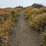 Getty View Trail, California - 794 Reviews, Map | AllTrails