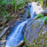 Syphon Falls Trail, British Columbia, Canada - 204 Reviews, Map | AllTrails