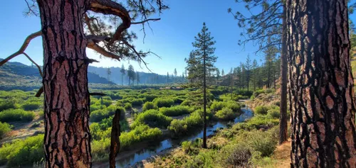 10 Best Trails and Hikes in Frazier Park | AllTrails