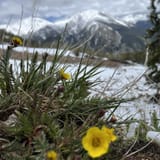 Hope Pass via Sheep Gulch Trail, Colorado - 149 Reviews, Map | AllTrails