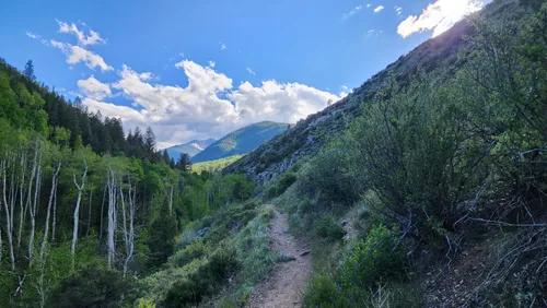 10 Best Trails and Hikes in Salida | AllTrails
