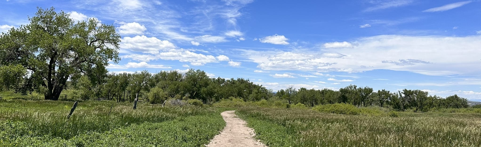 Two Bridges Trail Short Loop, 89 Fotos - Colorado | AllTrails