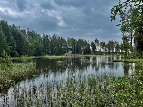 Blåfjell naturreservat: de beste routes om te wandelen | AllTrails