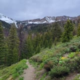 Baker Lake Trail, Idaho - 369 Reviews, Map | AllTrails