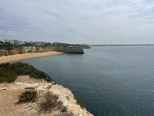 2023 Best Bird Watching Trails in Armação de Pêra | AllTrails