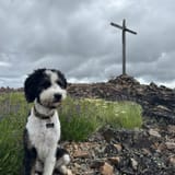 Chilco Mountain Trail, Idaho - 623 Reviews, Map | AllTrails