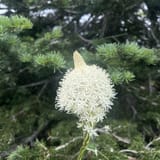 Chilco Mountain Trail, Idaho - 623 Reviews, Map | AllTrails