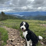Chilco Mountain Trail, Idaho - 623 Reviews, Map | AllTrails