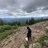 Chilco Mountain Trail, Idaho - 623 Reviews, Map | AllTrails