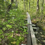 Stratton Mountain and Stratton Pond Loop, Vermont - 331 Reviews, Map ...
