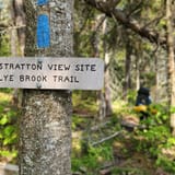 Stratton Mountain and Stratton Pond Loop, Vermont - 331 Reviews, Map ...