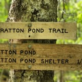 Stratton Mountain and Stratton Pond Loop, Vermont - 331 Reviews, Map ...