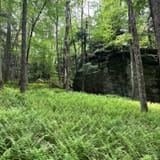 Morrison and Rimrock Trail Loop, Pennsylvania - 465 Reviews, Map ...