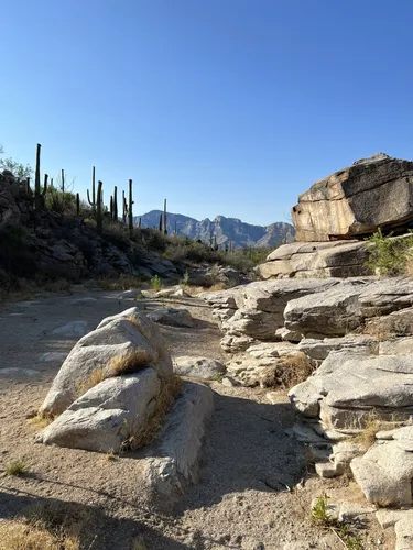 Best Hikes and Trails in Honey Bee Canyon Park | AllTrails