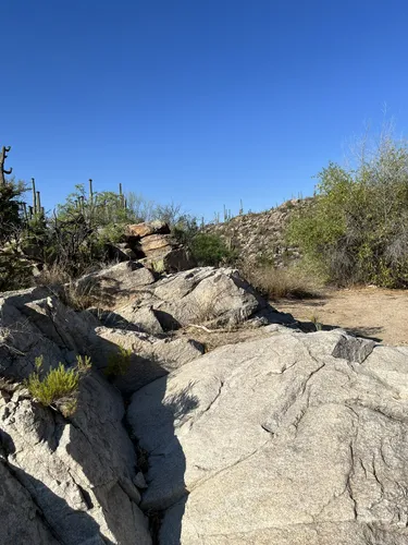Best Hikes and Trails in Honey Bee Canyon Park | AllTrails