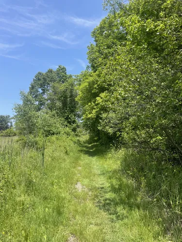 Best Hikes and Trails in Castle Neck River Reservation | AllTrails