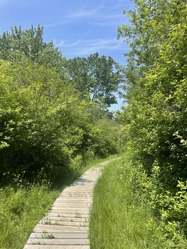 Best Hikes and Trails in Castle Neck River Reservation | AllTrails