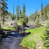 Government Springs 95A, Arizona - 449 Reviews, Map | AllTrails