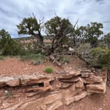 Johnny Behind the Rocks Trail, Wyoming - 70 Reviews, Map | AllTrails