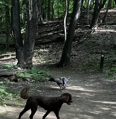 Best Hikes and Trails in Goodyear Heights Metro Park | AllTrails