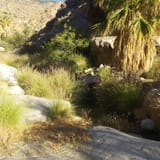 Cahuilla Canyon Trail, California - 550 Reviews, Map | AllTrails