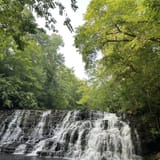 Rutledge Falls Trail, Tennessee - 507 Reviews, Map | AllTrails