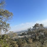 Wonderboom Hiking Trail, Gauteng, South Africa - 129 Reviews, Map ...