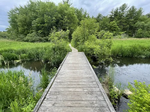 Best Hikes and Trails in Marlborough-Sudbury State Forest | AllTrails
