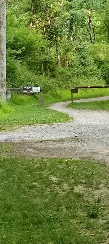 Best Hikes and Trails in BeeTree Preserve | AllTrails