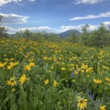 Emigration Canyon Ridgeline Trail, Utah - 378 Reviews, Map | AllTrails