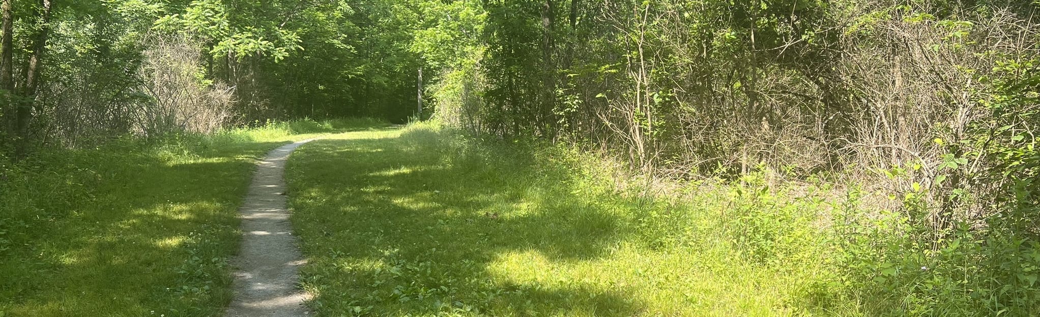 Jacobsburg State Park Red/Green Loop: 636 Reviews, Map - Pennsylvania ...