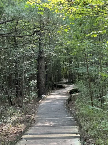 Best Hikes and Trails in Phinizy Swamp Nature Park | AllTrails
