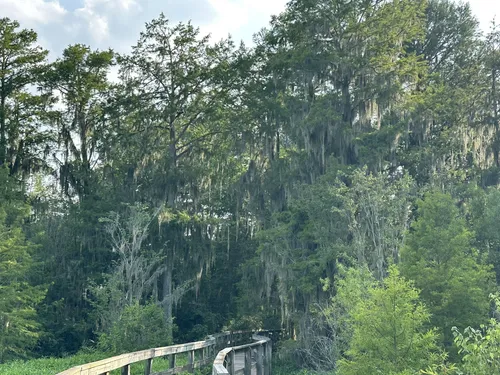 Best Hikes and Trails in Phinizy Swamp Nature Park | AllTrails